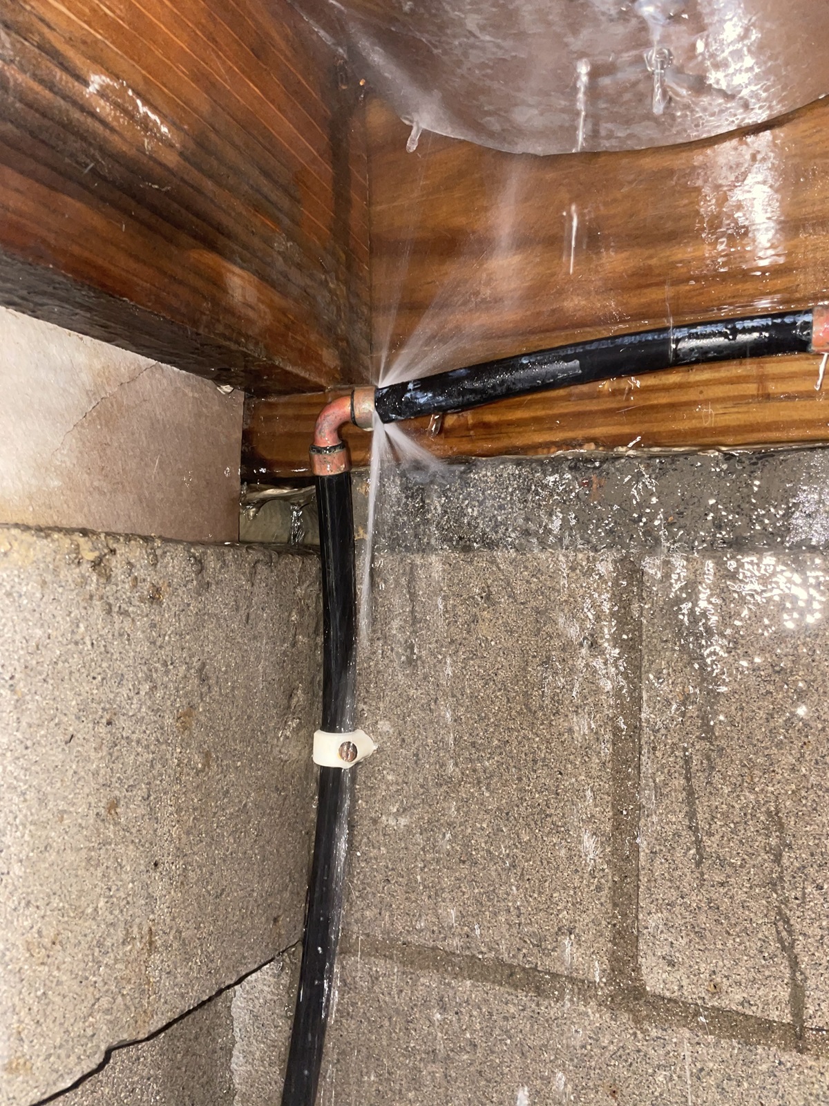 Spring Plumbing Tips for Auckland: Get Your Home Ready for the Season